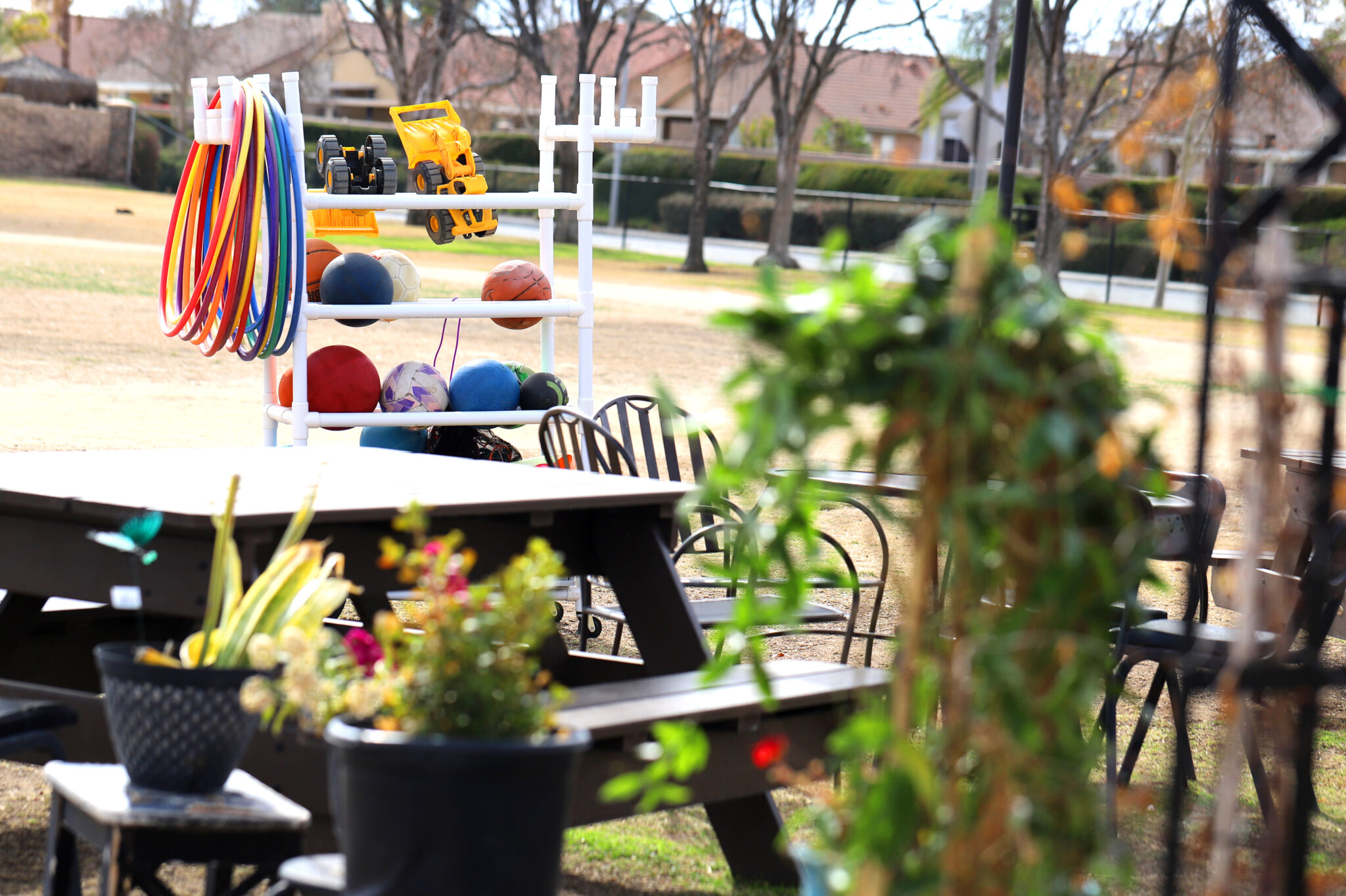 Zehnder Ranch - Catalyst Kids